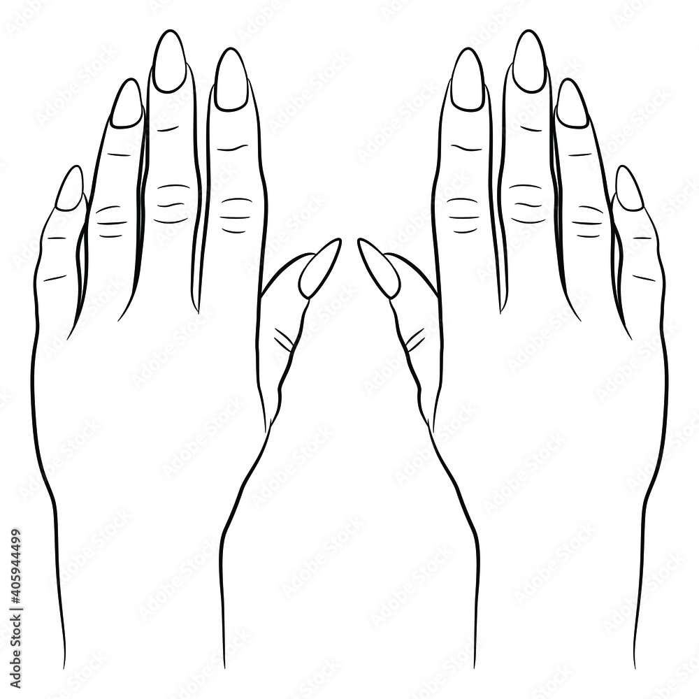 Two human female hands with long nails. Top view. Hand drawn linear ...