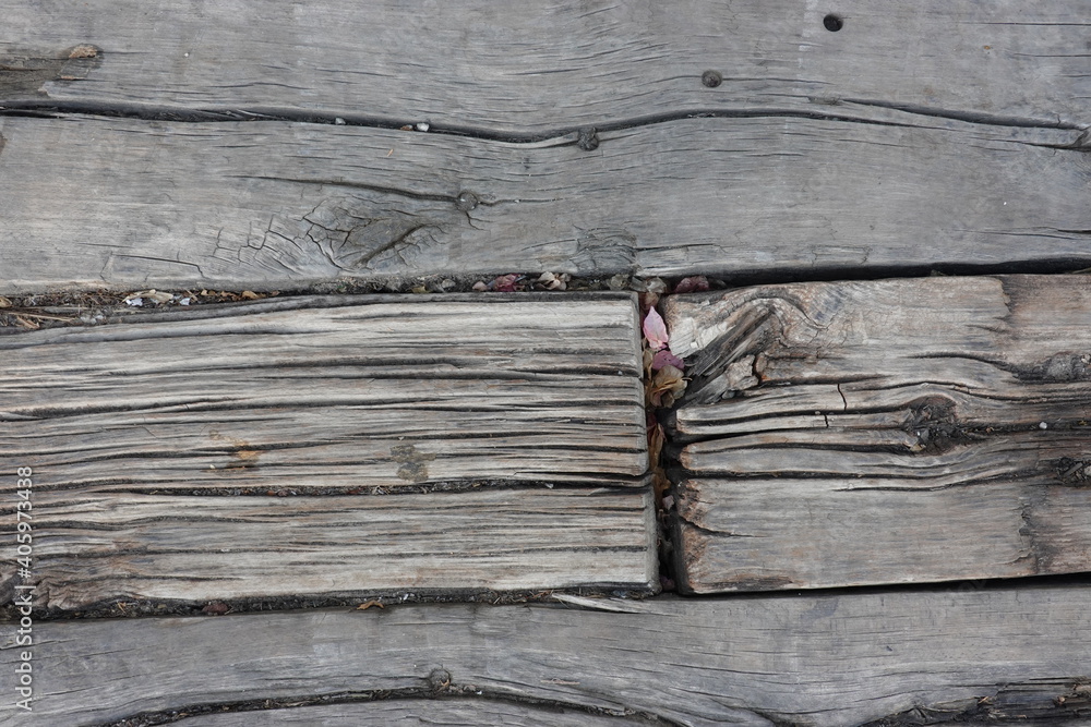 Holzbohlen auf einen Weg im Garten Stock Photo | Adobe Stock