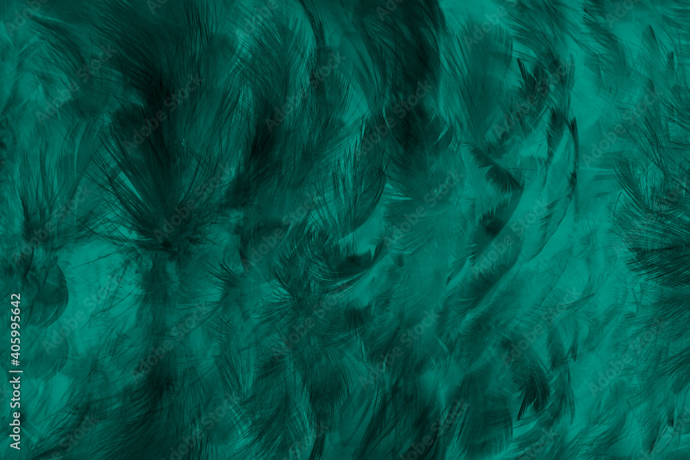 Beautiful Dark Green Viridian Vintage Color Trends Feather Texture ...