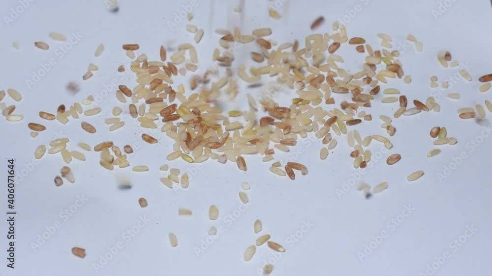 Rice is the seed of the grass species Oryza glaberrima (African rice ...