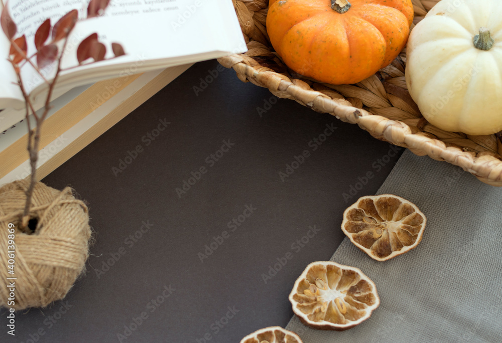 Reading, calm, perfect day concept background for copy paste subject or ...