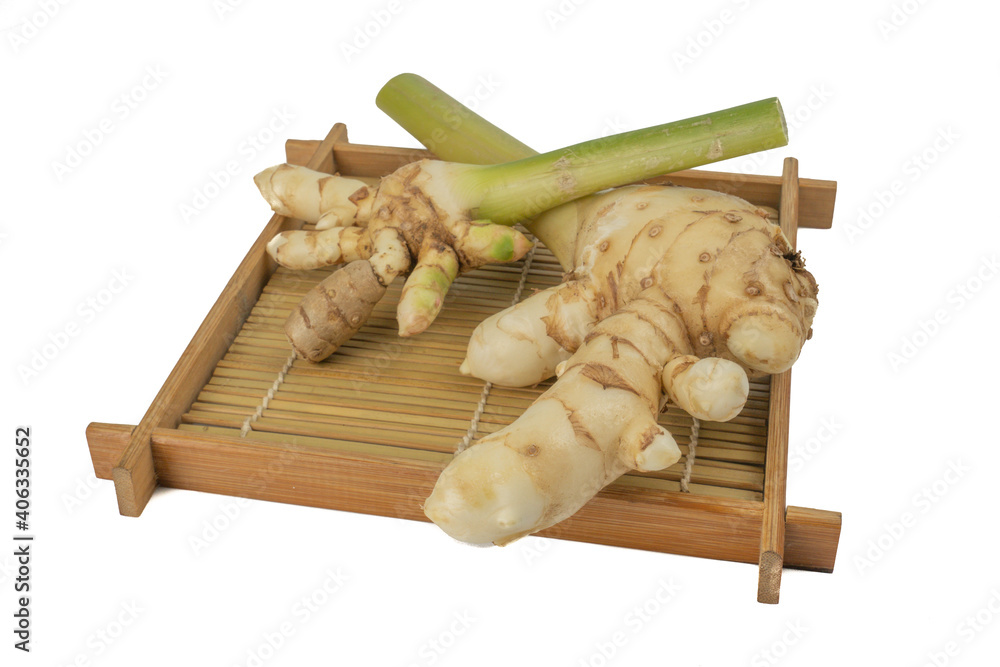 Fresh Mango ginger, White Turmeric, Temu mangga (Curcuma mangga Valeton ...