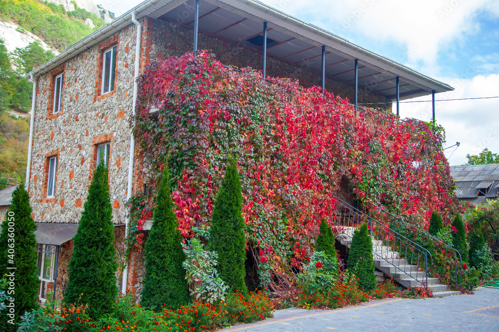 multi-storey house overgrown with green plants, weaving liana - Chinese ...