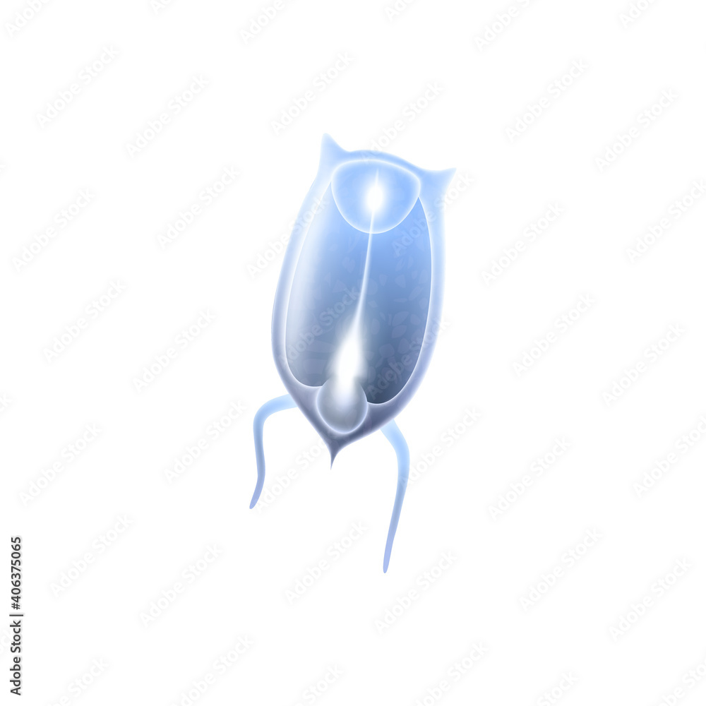 Plankton Realistic Icon Stock Vector | Adobe Stock