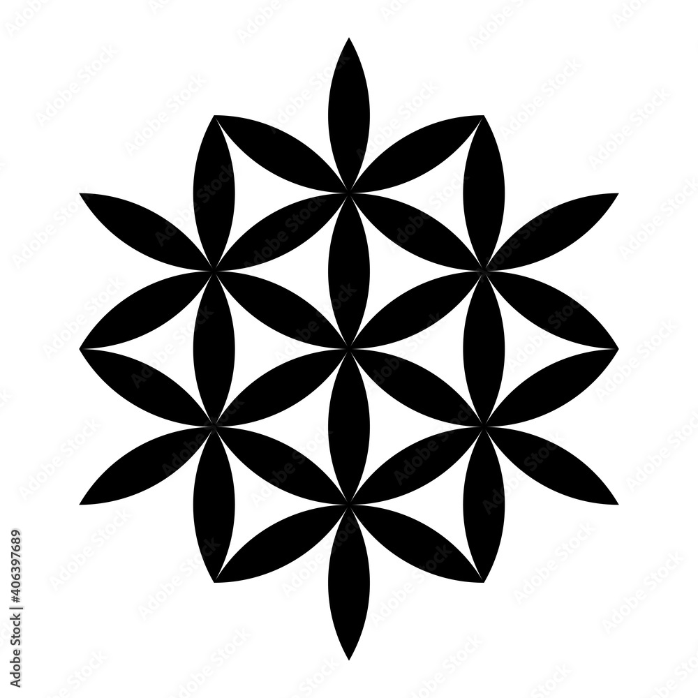 Seven stars, made from vesica piscis lens shapes. Six flower-like stars ...
