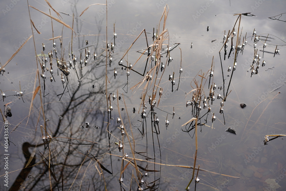 Stimmungsvolle Flusslandschaft im Winter mit vielen kleinen Eistropfen ...