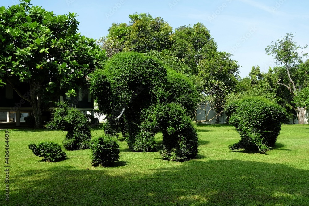 Dwarf Trees in the Elephant Shape in the Park at Bang Pa-In Royal ...