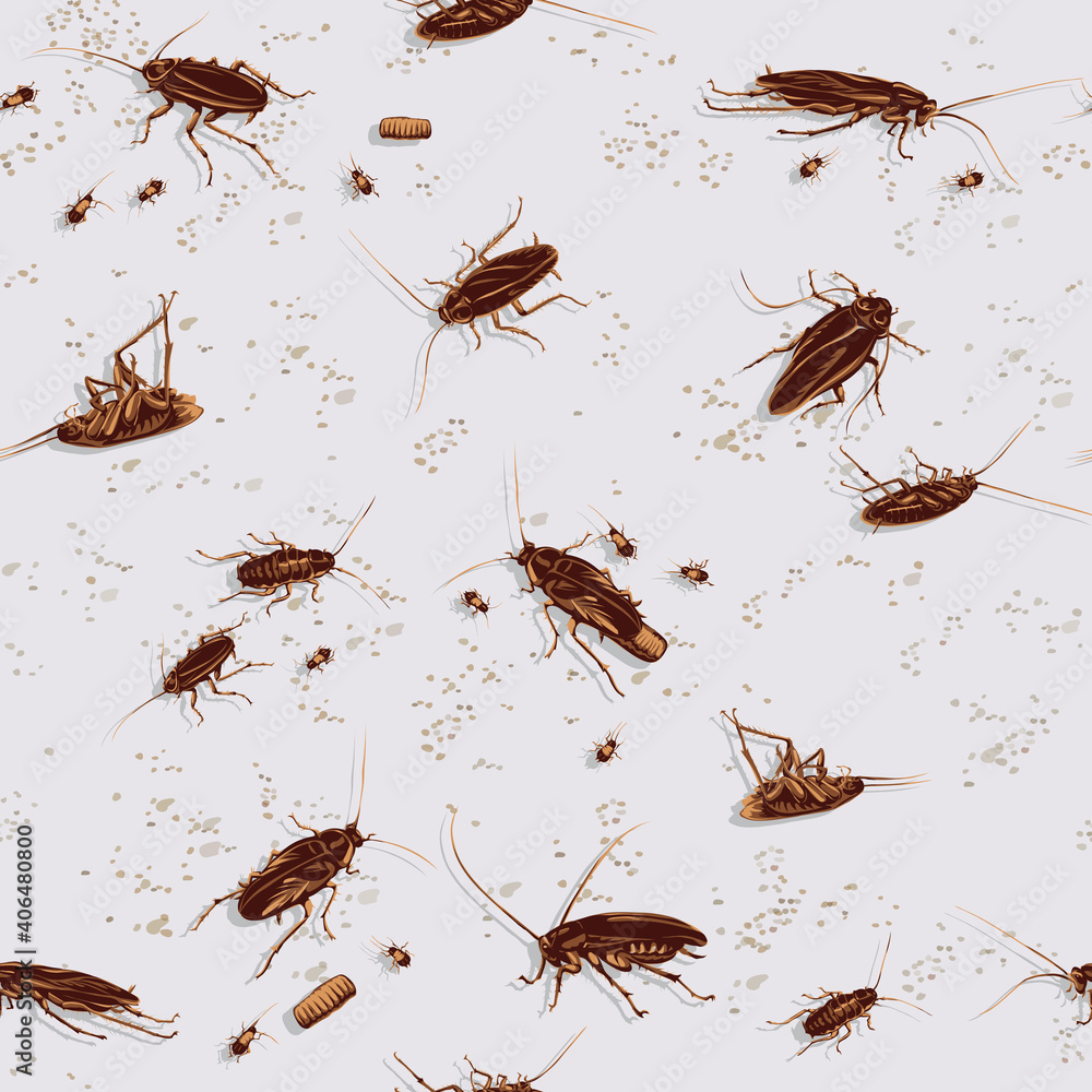 cockroach, drawing of a black and color cockroach, pattern Stock Vector ...