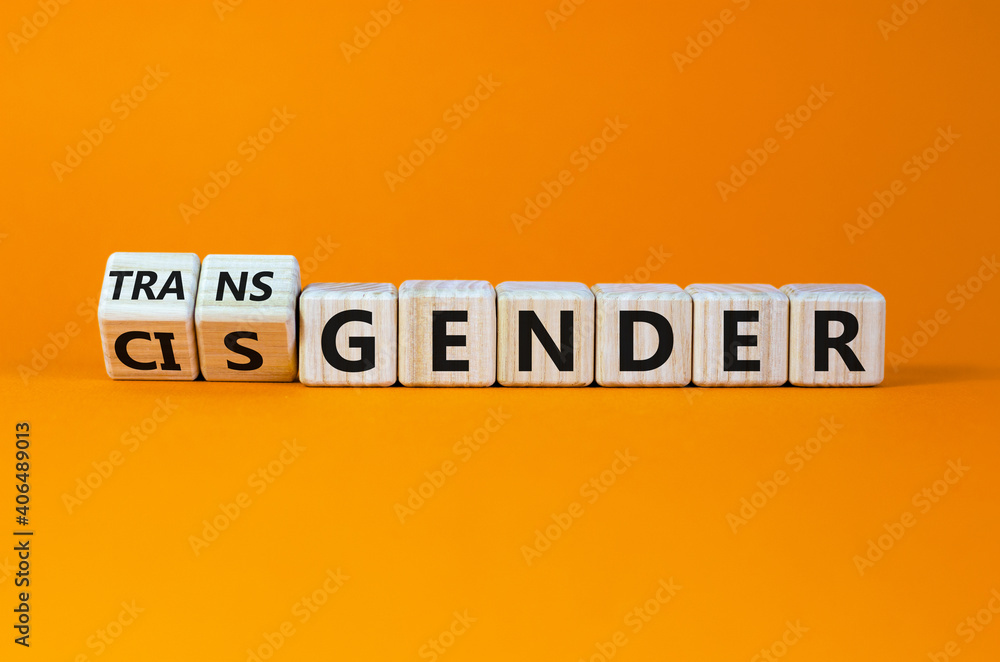Transgender or cisgender symbol. Turned wooden cubes and changed word ...