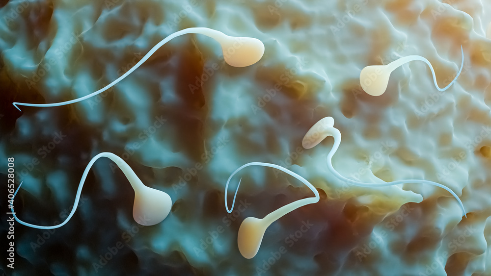Close-up of a group of sperm cells and ovum or gametes 3D rendering ...