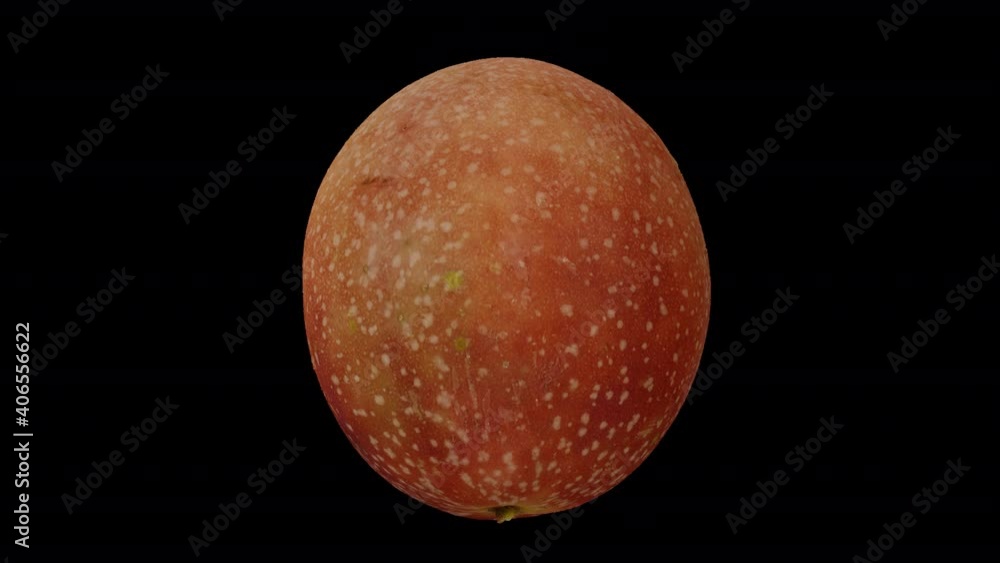 Realistic render of a rolling Passion Fruit on transparent background ...