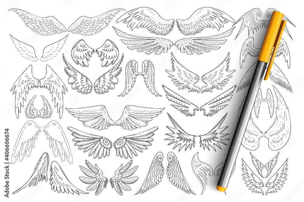 Bird wings patterns doodle set. Collection of hand drawn elegant wings ...