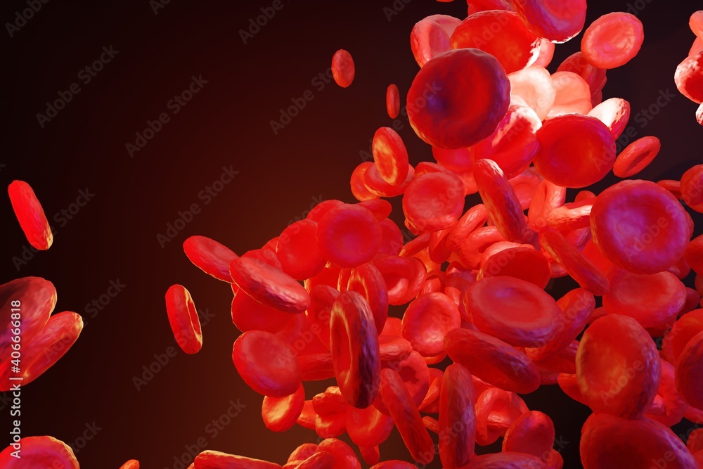 Human red blood cells under a microscope. Movement of red blood cells ...
