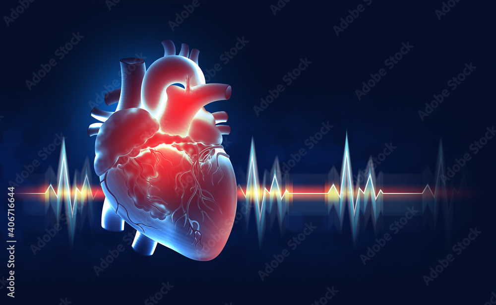 Cardio training. Human heart 3D illustration. Pulse, heartbeat. Heart ...