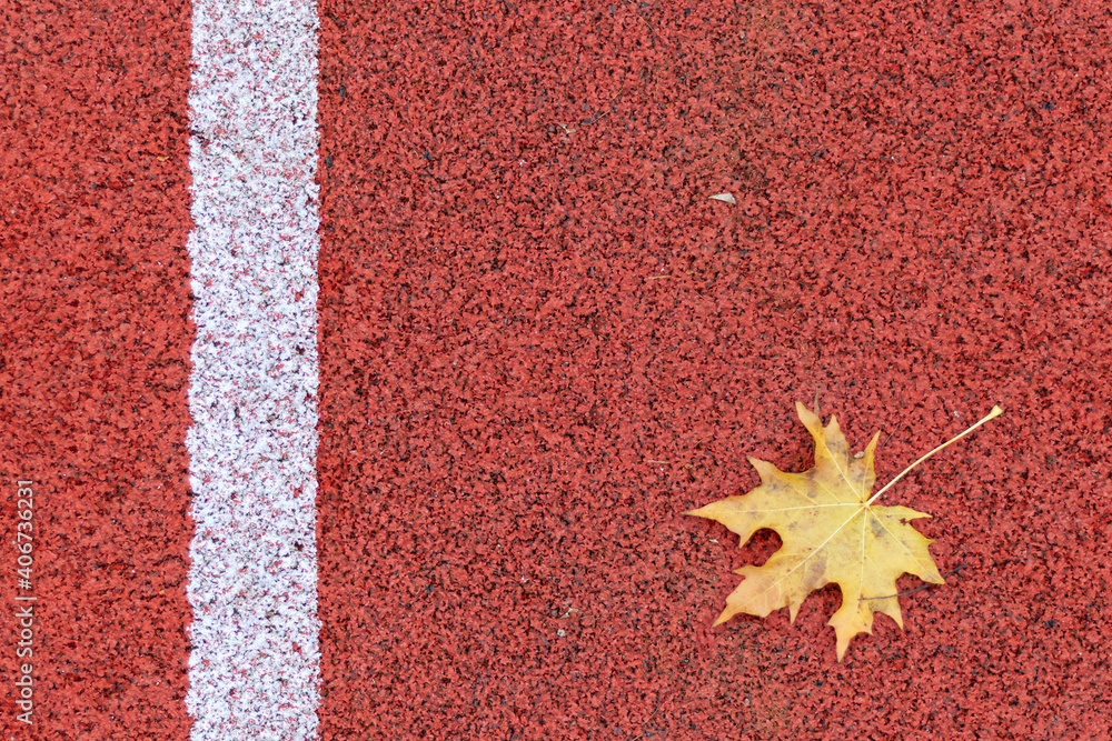 Detail of a bright orange running track with a white stripe and a ...