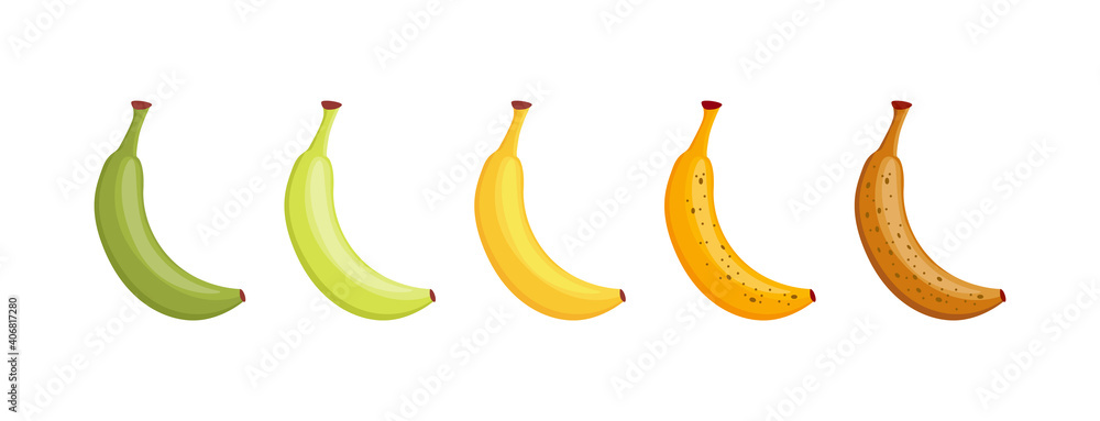 Banana ripeness scale. Stages of fruit ripening, isolated set Stock ...