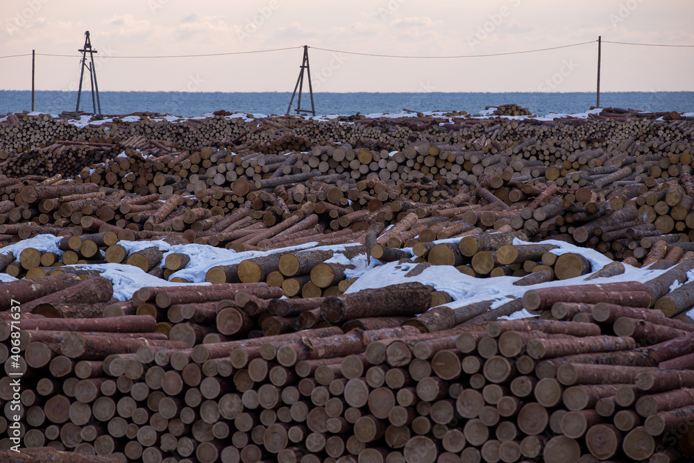 View from above. Open-air timber warehouse. Many felled logs are ...