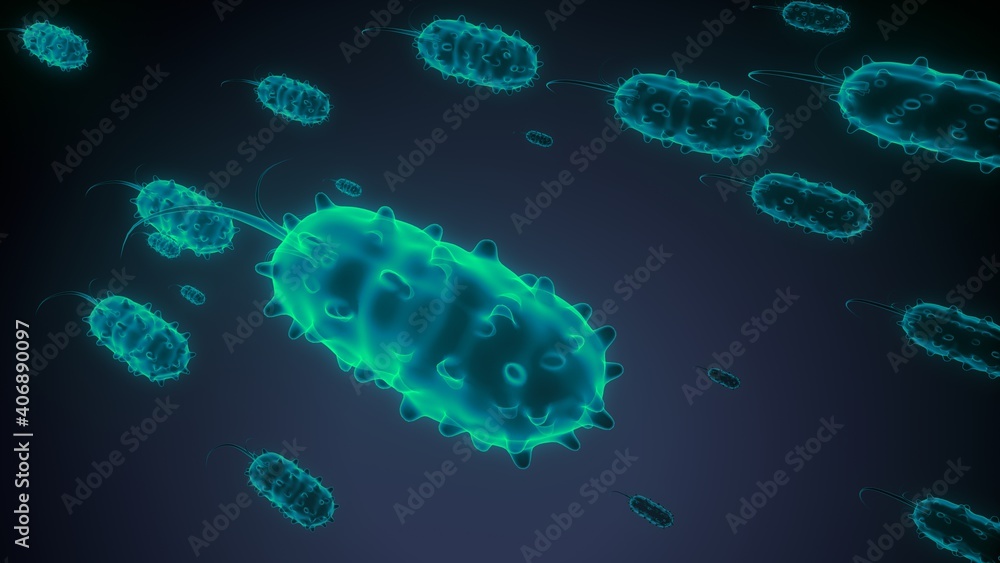 3d illustration of bacteria anatomy. Stock Illustration | Adobe Stock