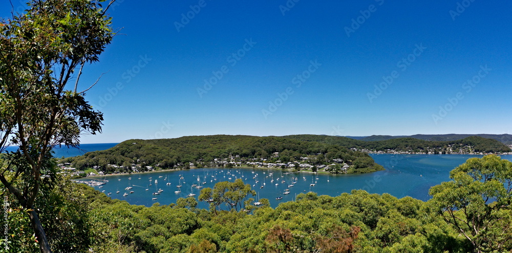 Beautiful panoramic view of a bay full of boats with tall tree in the ...