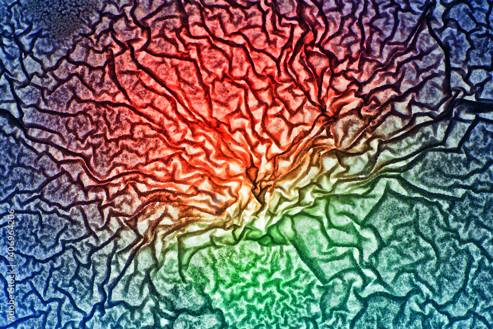 biological texture microscopic. Brain neural networks. Electron ...