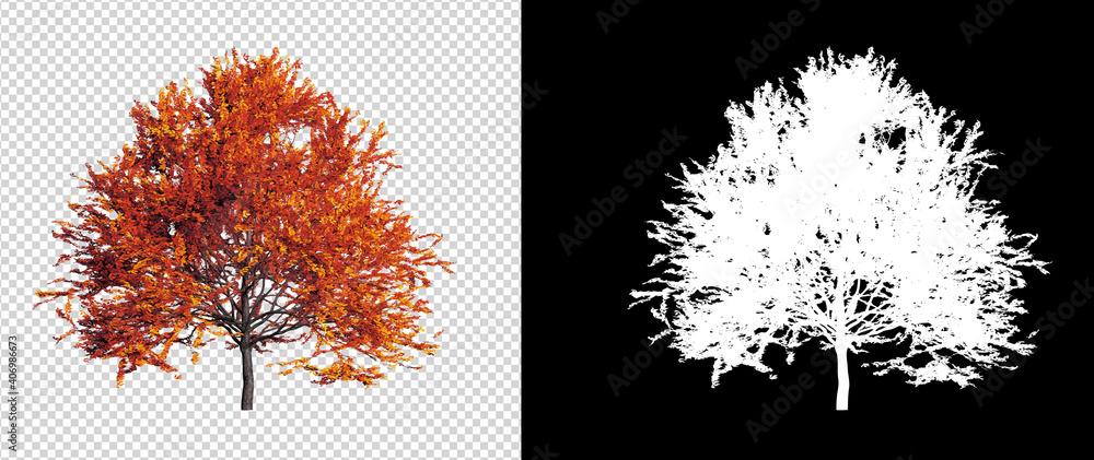 Autumn season tree on transparent background with clippings path Stock ...