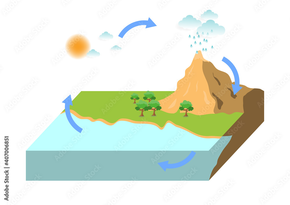 Vector schematic representation of the water cycle in nature Stock ...