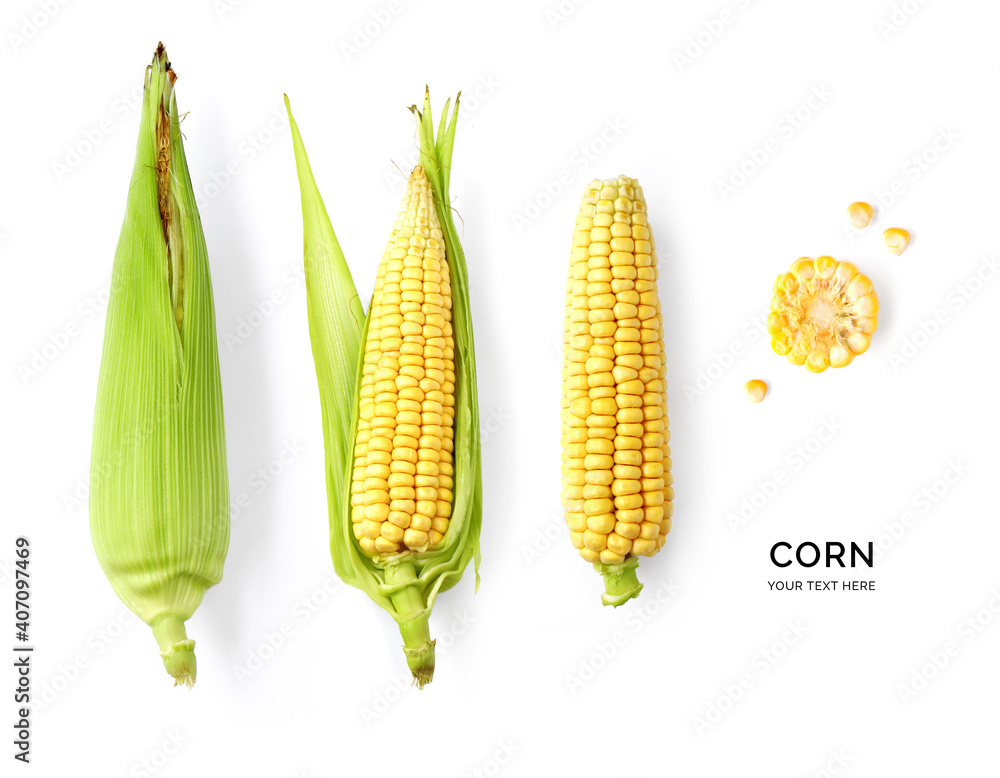Creative layout made of corn on the white background. Flat lay. Food ...