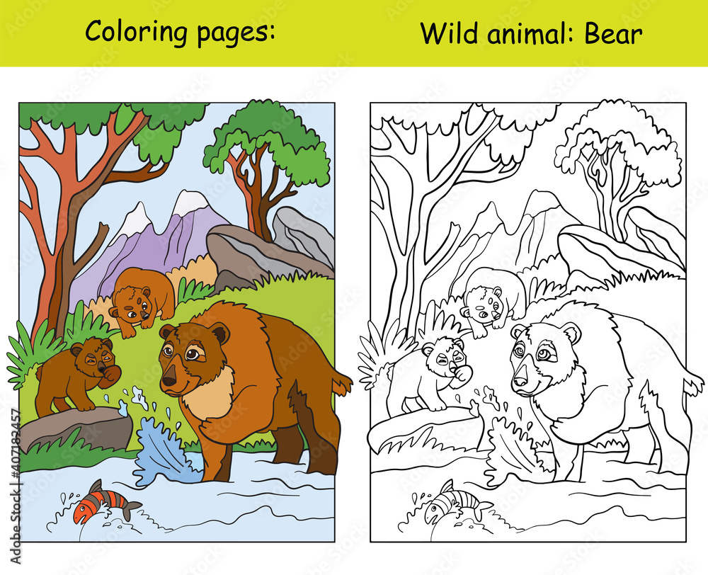 Coloring book page and color template bears Stock Vector | Adobe Stock