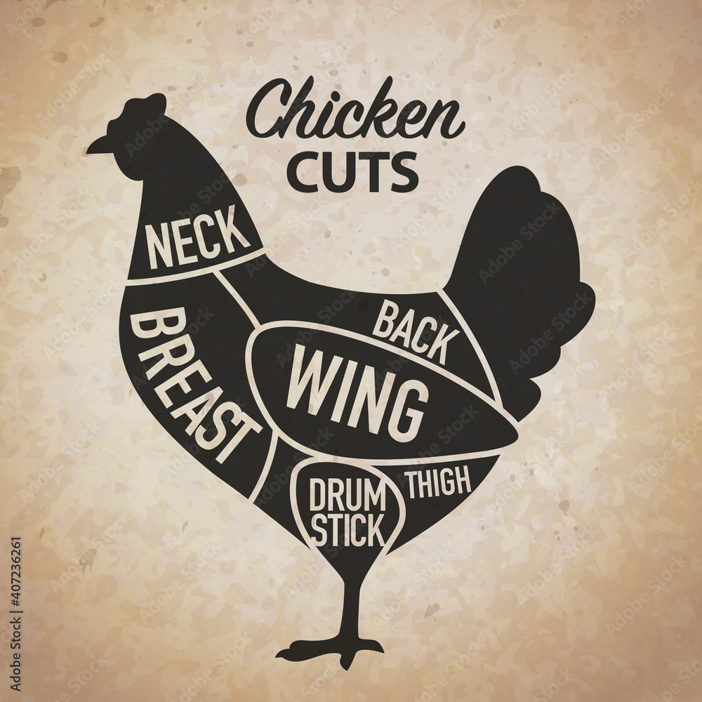 Chicken cuts. Diagrams and scheme for butcher shop. Farm animal ...