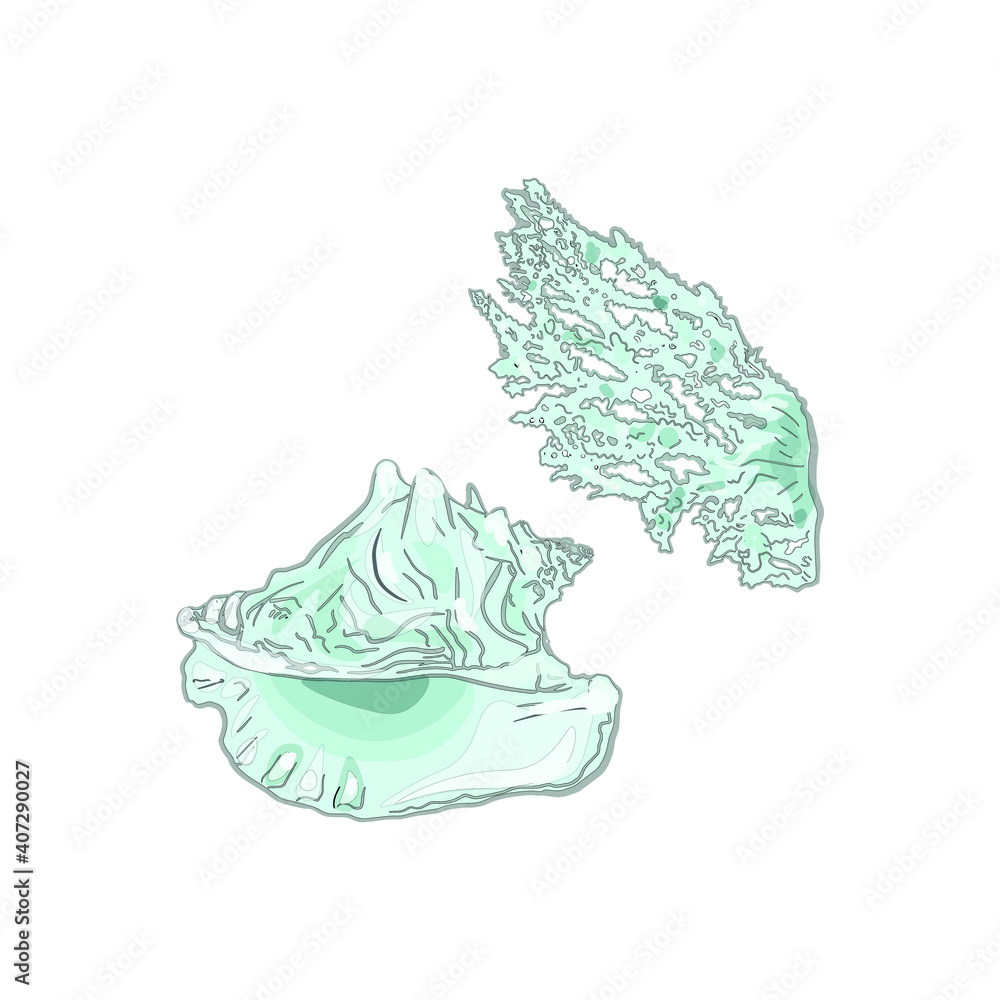 Vector Illustration of a light blue freehand seashell, anthozoa in line ...