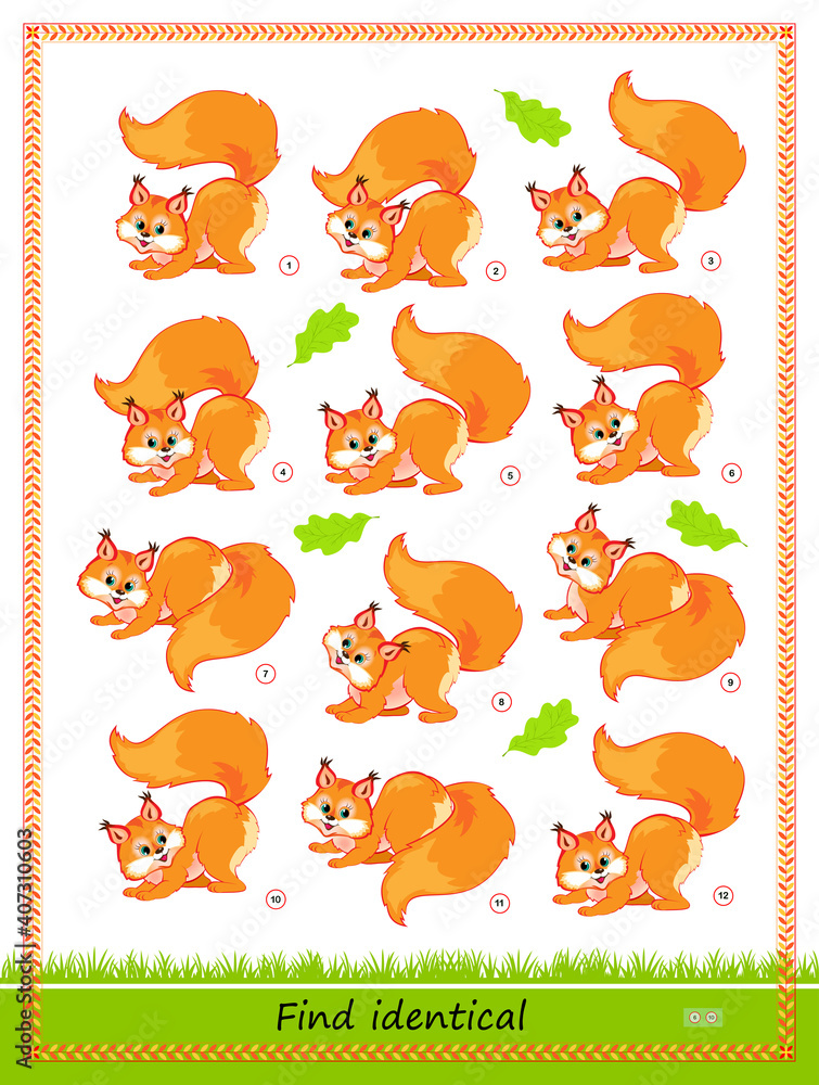 Logic puzzle game for children and adults. Find two identical squirrels ...