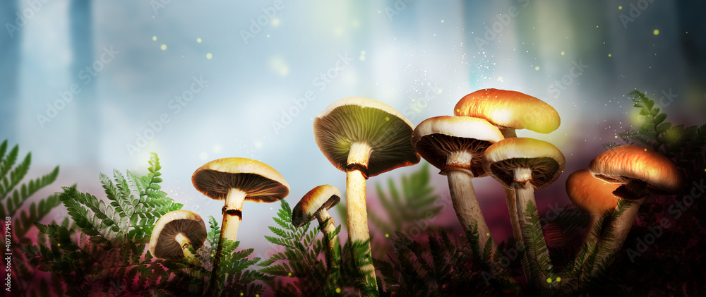 Fantasy world. Mushrooms with magic lights in enchanted forest, banner ...