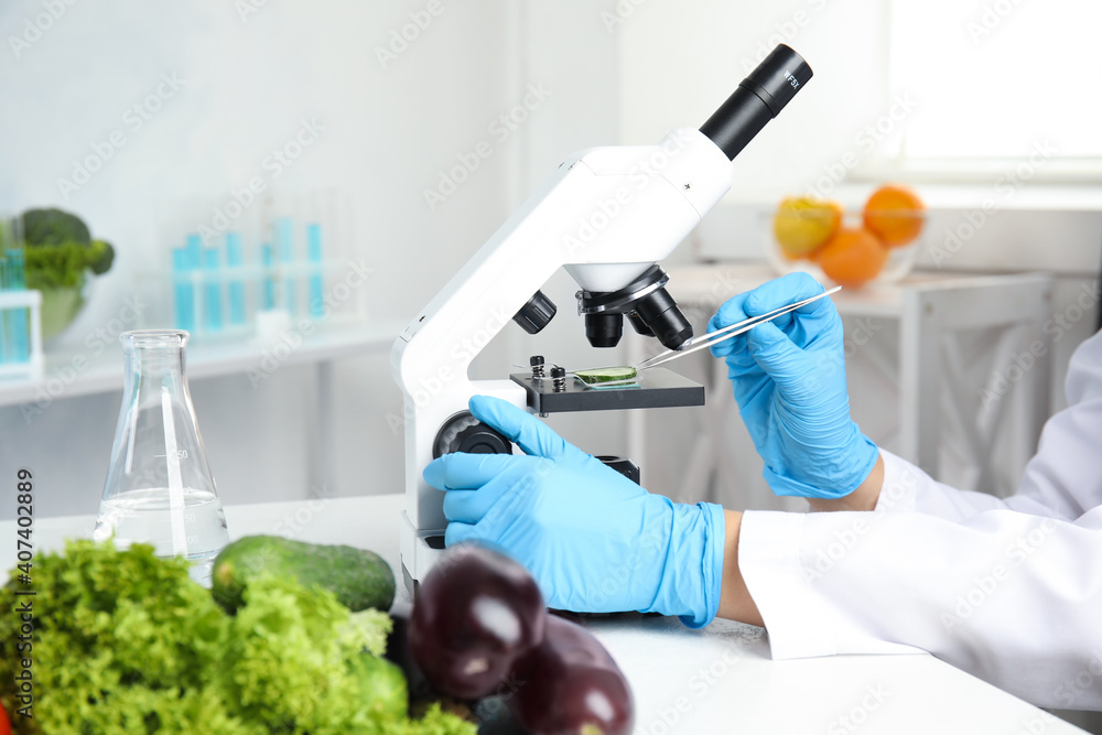Scientist inspecting slice of cucumber with microscope in laboratory ...