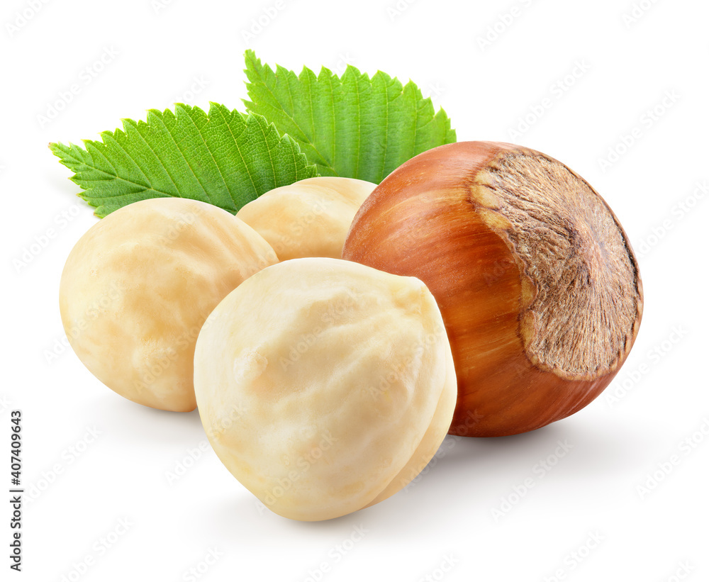 Hazelnut with leaf isolate. Hazelnut peeled and unpeeled with leaves on ...