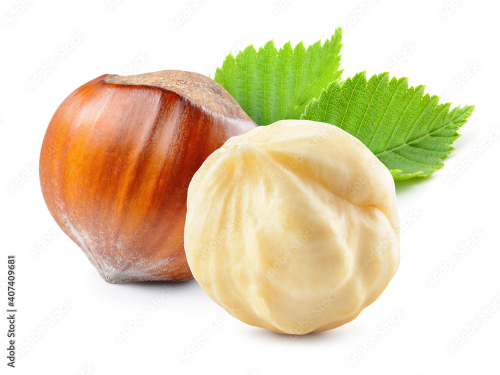 Hazelnut with leaf isolate. Hazelnut peeled and unpeeled with leaves on ...