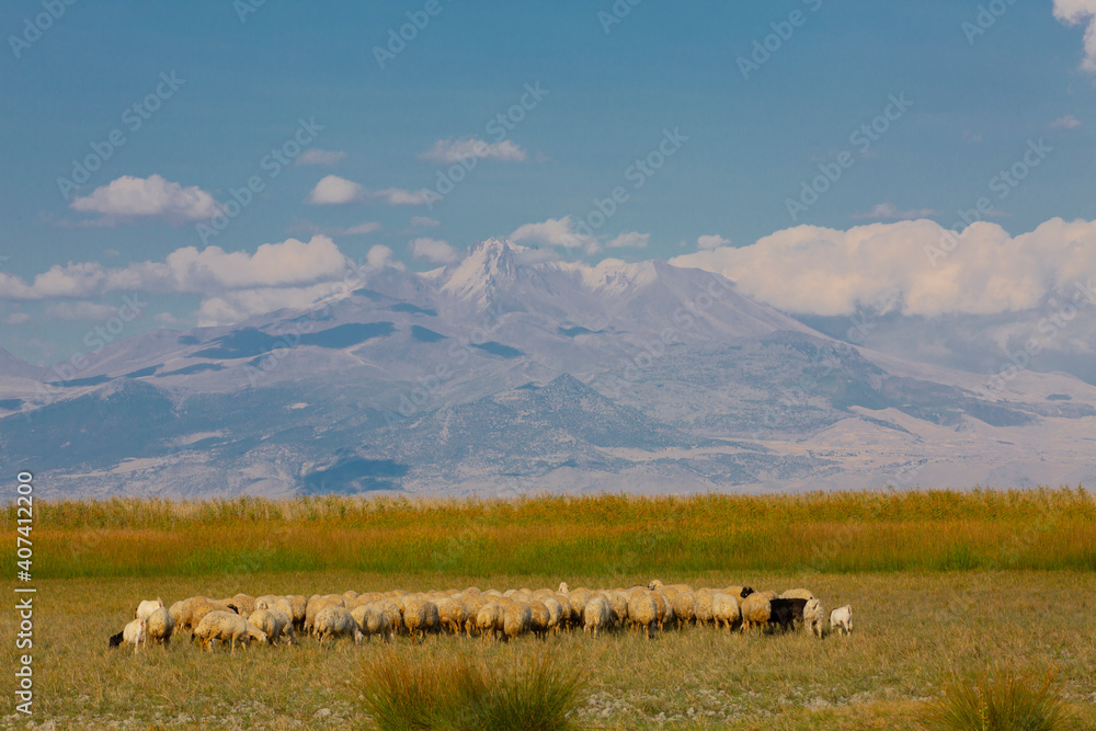Sultan Marshes are located in the triangle formed by Develi, Yahyalı ...
