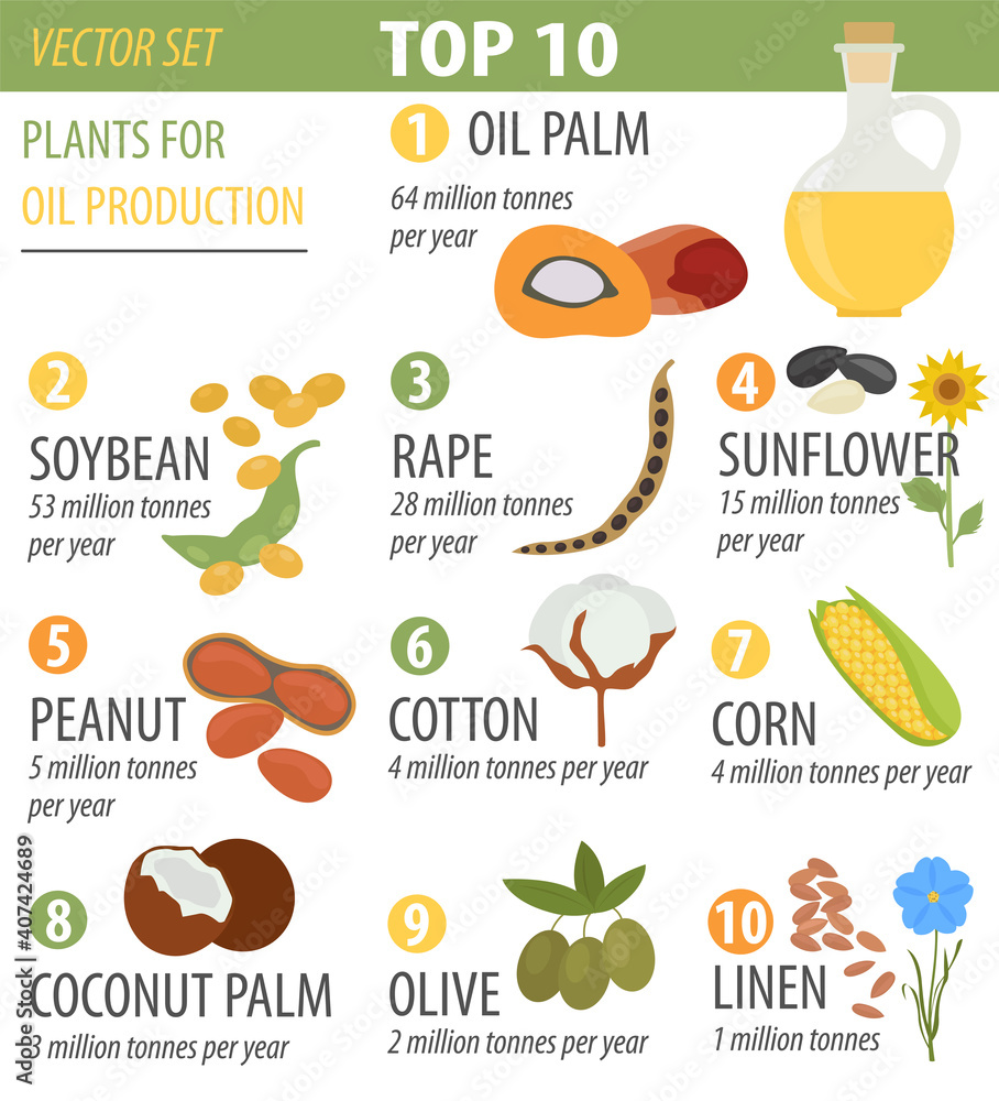 Top 10 plants for vegetable oil production infographic design Stock ...