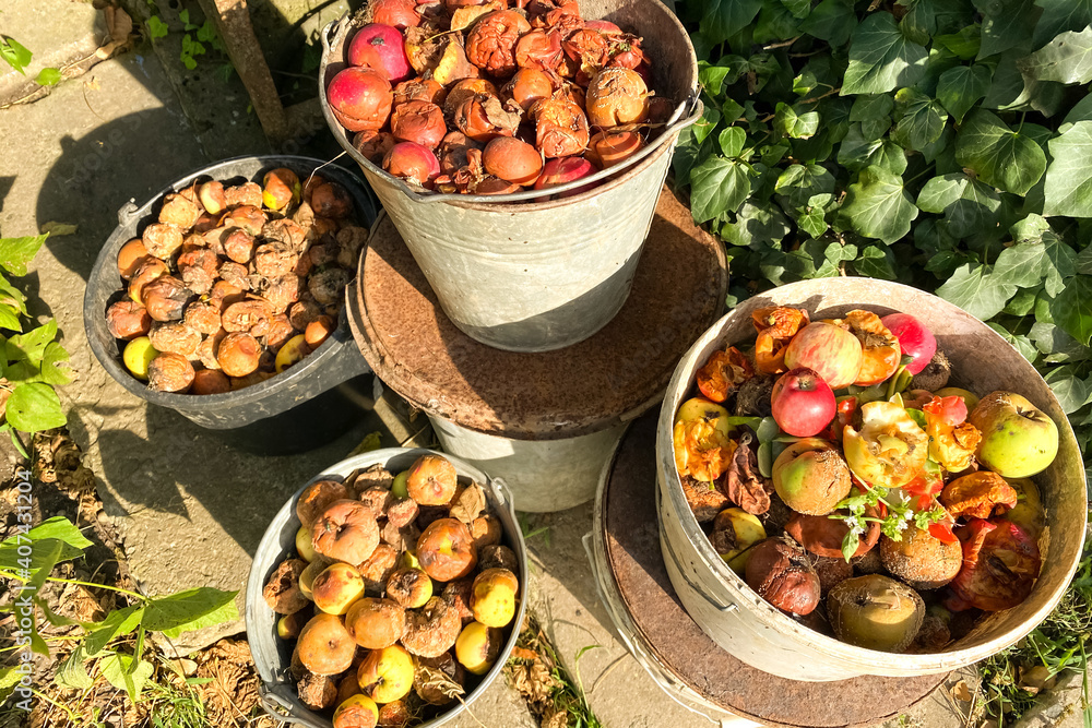 Organic biodegradable waste containers with food waste and vegetable ...