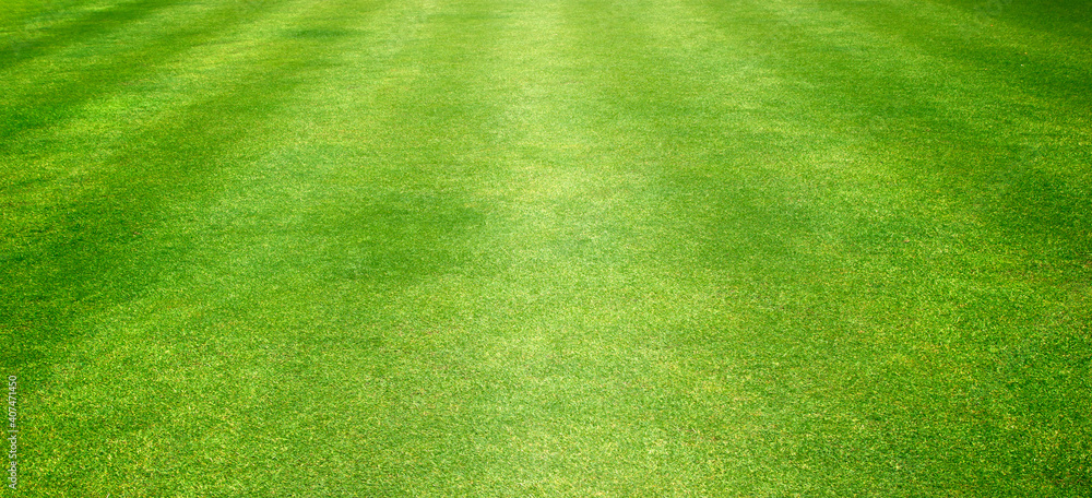 grass background Golf Courses green lawn Stock Photo | Adobe Stock