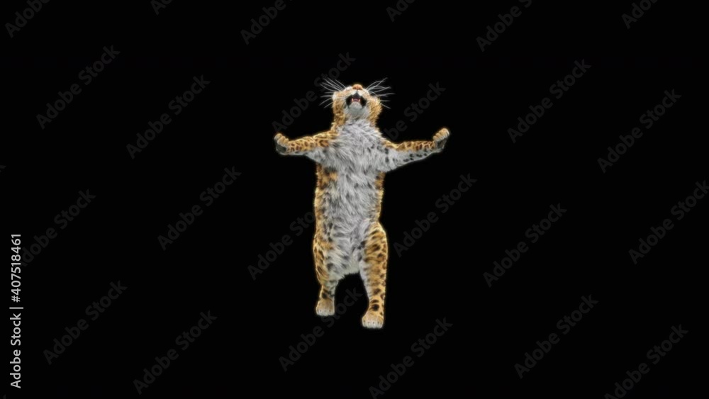 Leopard Dancing CG fur, 3d rendering, animal realistic CGI VFX ...