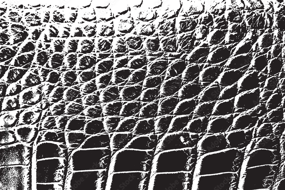 Skin Overlay Texture Stock Vector | Adobe Stock