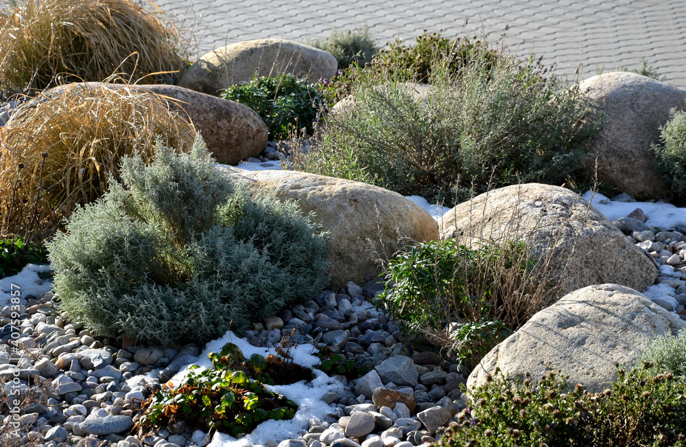 ornamental flower bed with perennial pine and gray granite boulders ...
