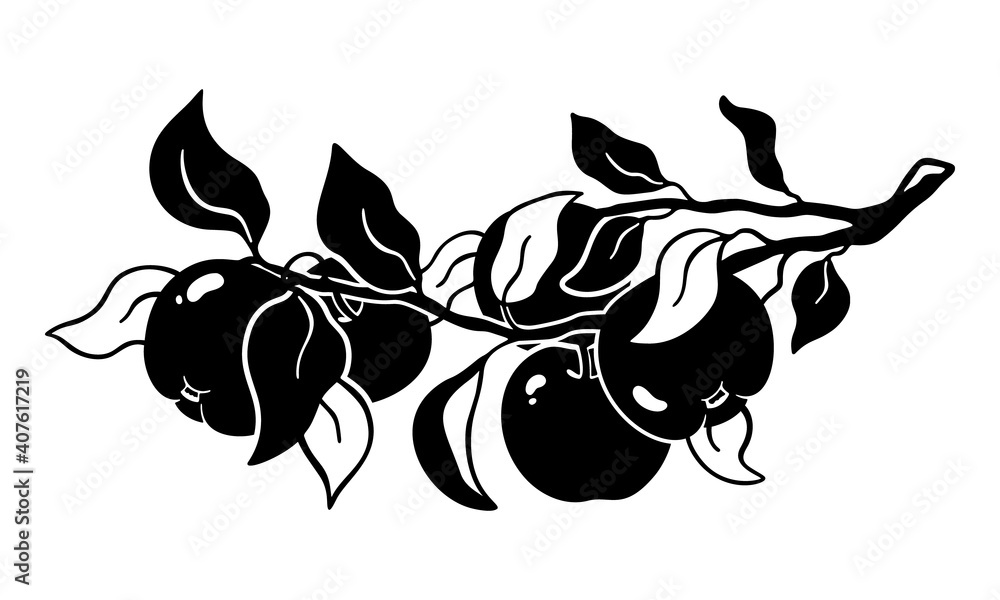 Horizontal branch with hanging apples, curved leaves. Hand drawn ...