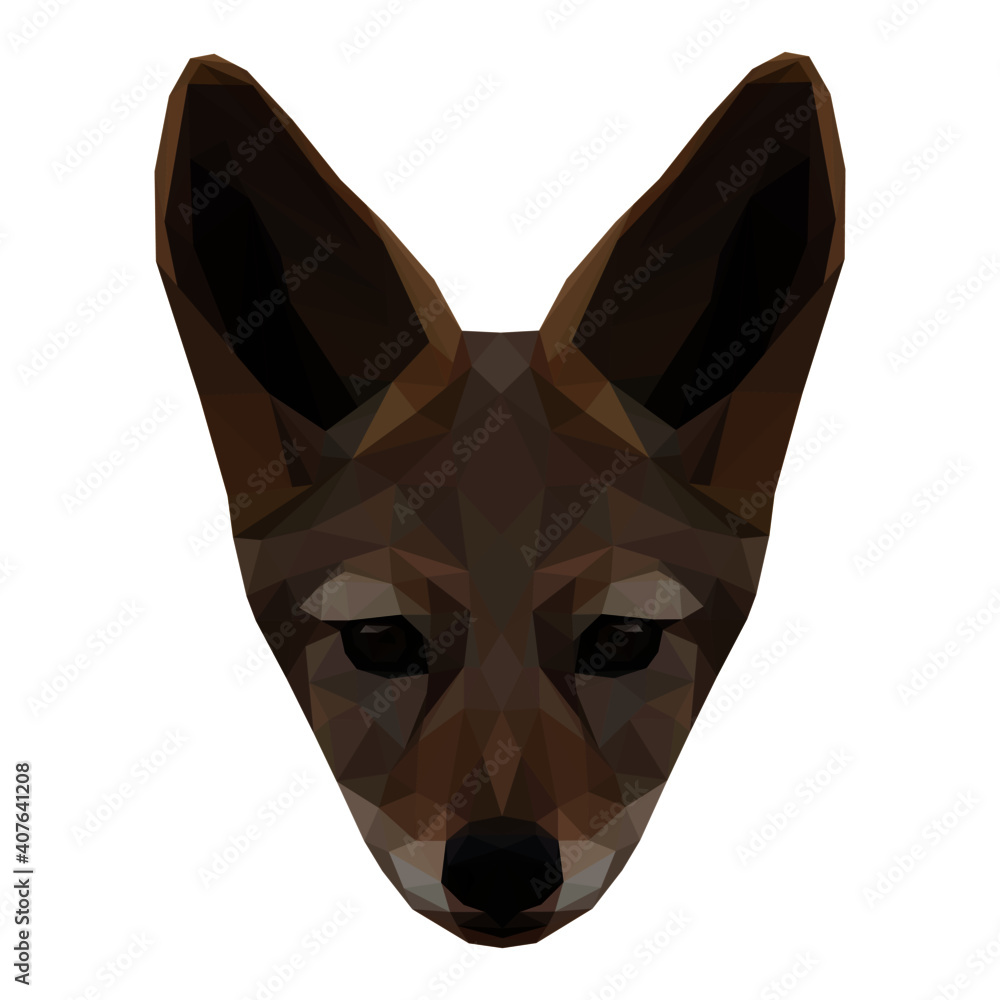 Jackal Head