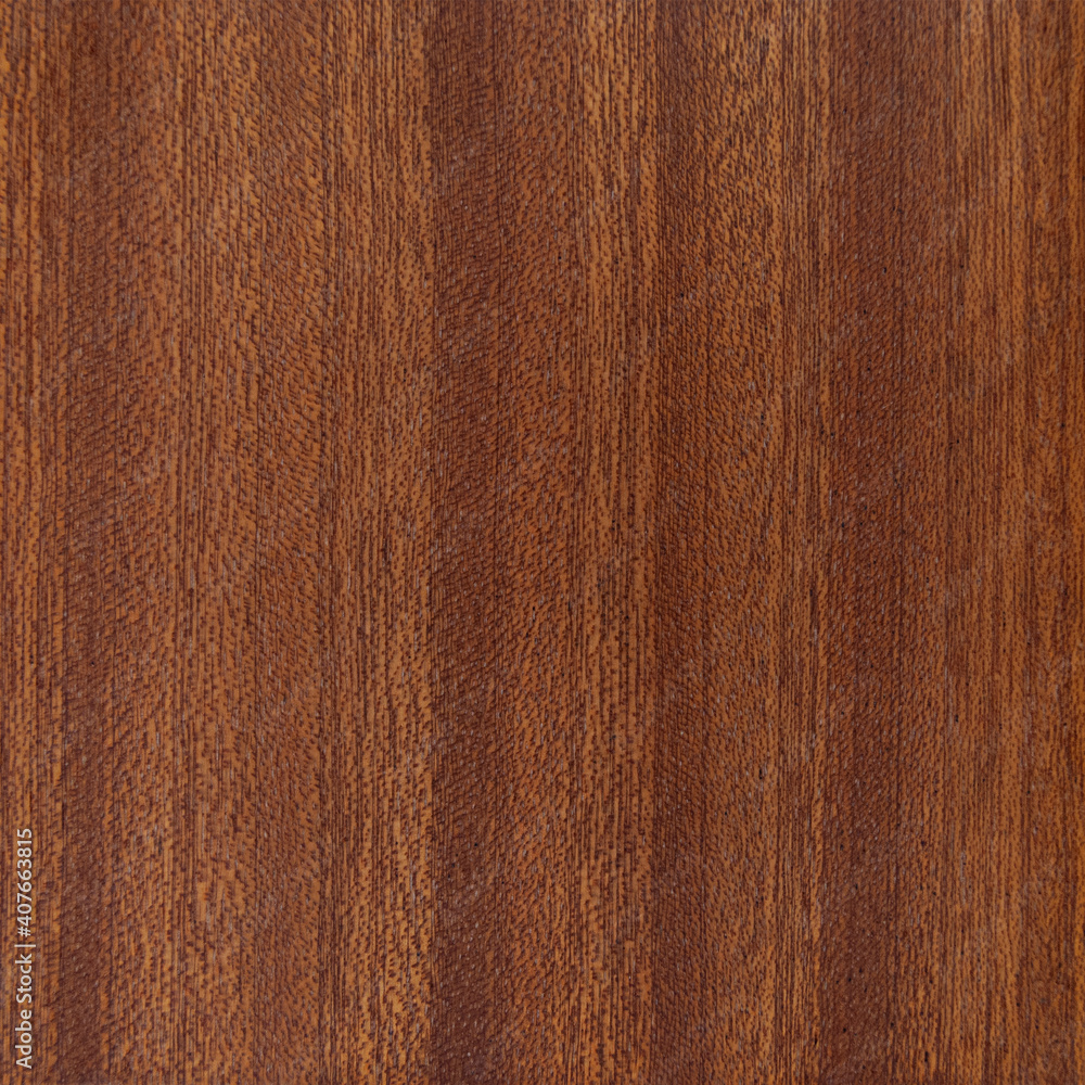 Brown Wood Texture. High-resolution background. The background is ...