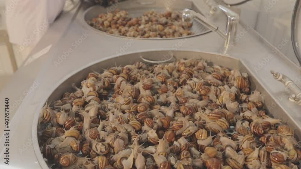 The modern method of snail extraction of mucin. Snails in cosmetology ...