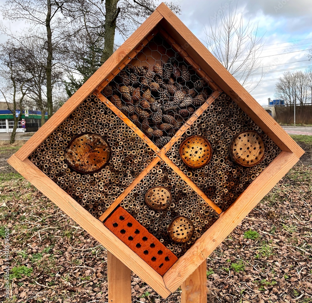Insect hotel for stimulating biodiversity in urban environments Stock ...