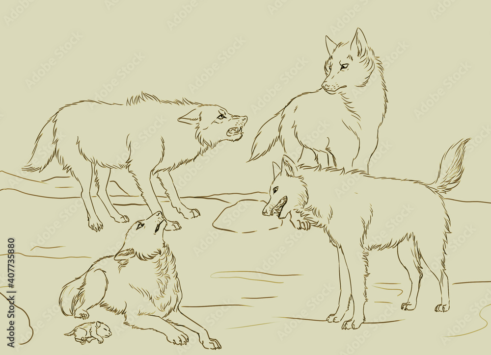 Wolf Attacking Drawing