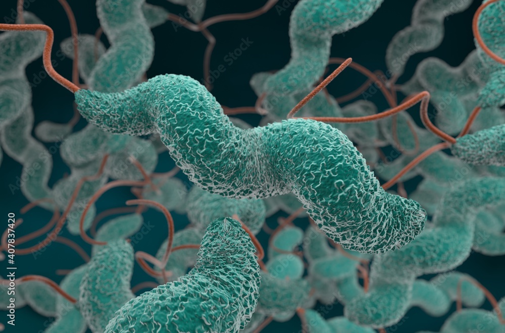 Campylobacter jejuni bacteria 3d render illustration closeup Stock ...