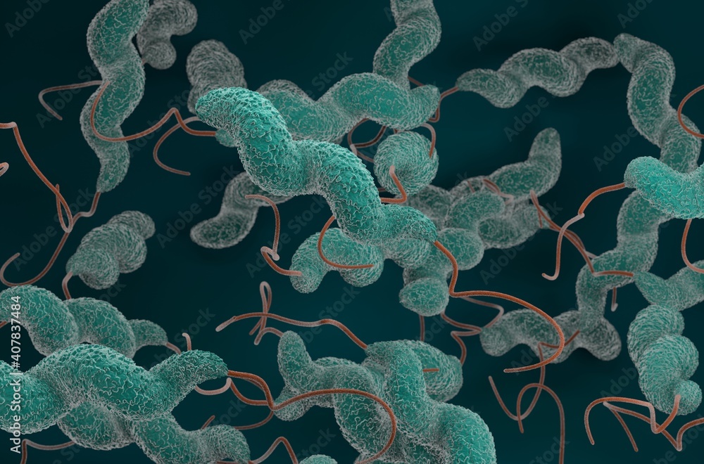 Campylobacter jejuni bacteria 3d render illustration Stock Illustration ...